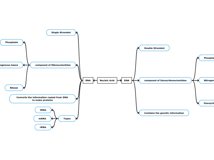 Nucleic Acid - Mind Map